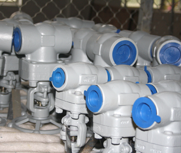 Trunnion Ball Valves, Cast Steel Gate Valve, Bellows Globe Valve ...